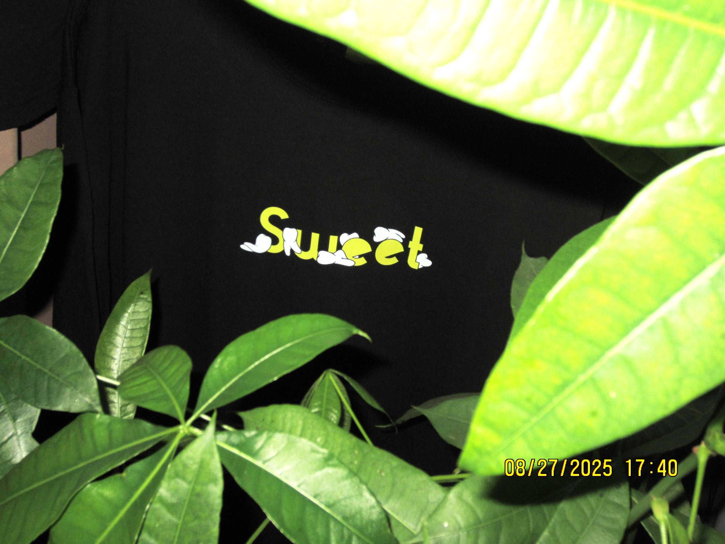 Home | A Sweet Tooth Clothing Company